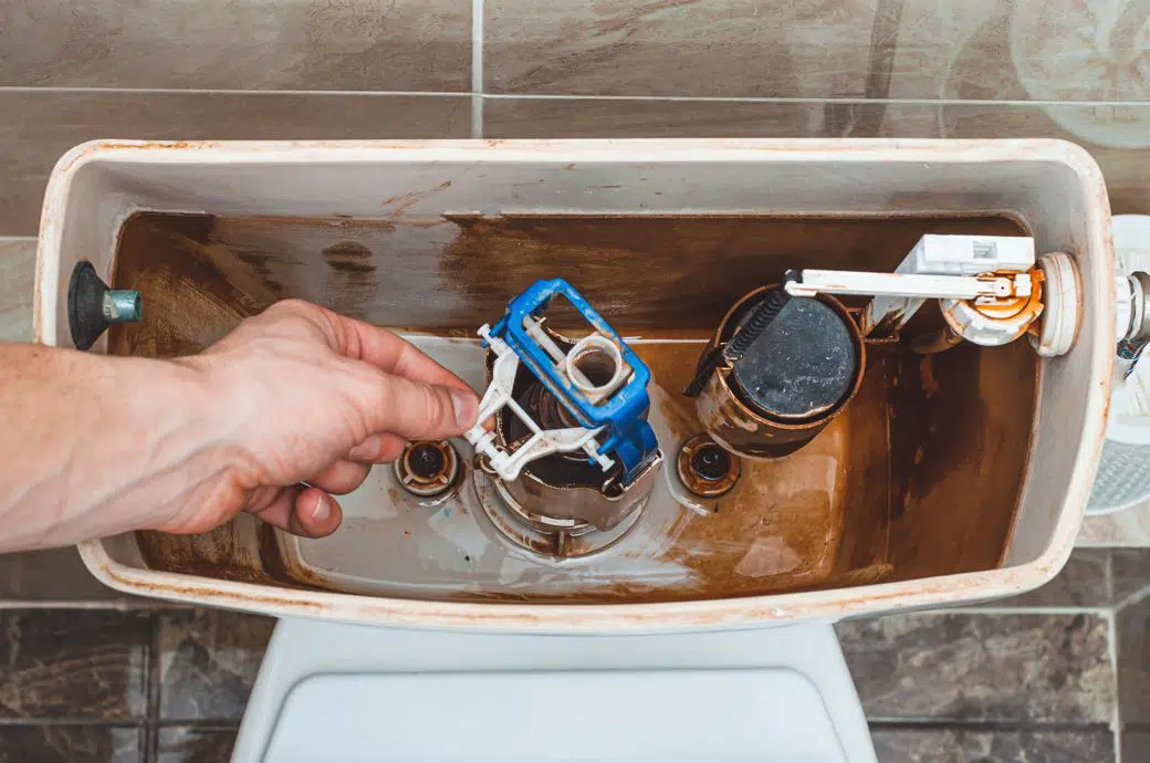 Sering Dilupakan, Ini Pentingnya Bersihkan Flush Tank Kloset - JDM Cleaning